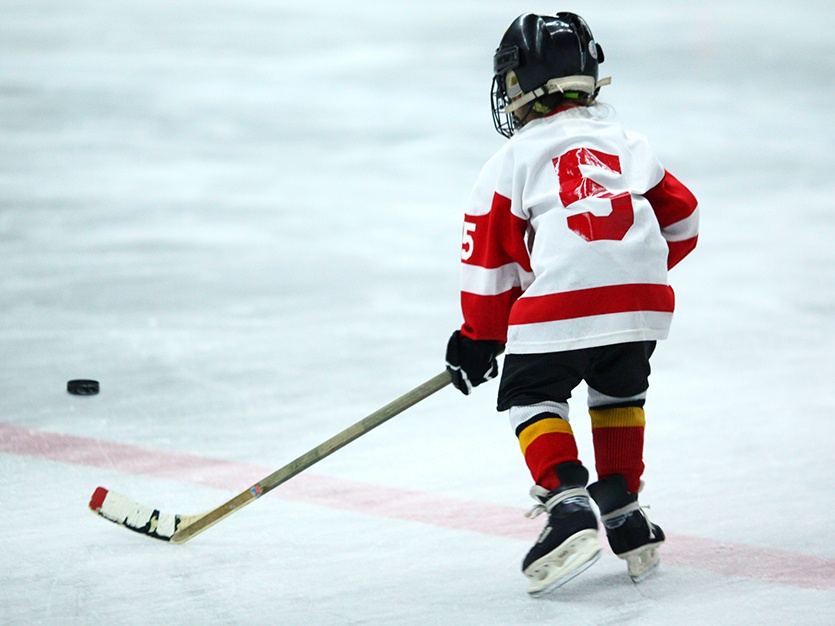 Anaheim Ice: Ice Skating and Hockey