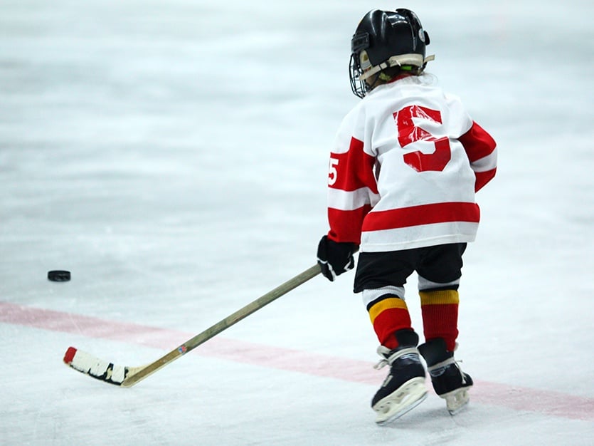 Anaheim Ice: Ice Skating and Hockey