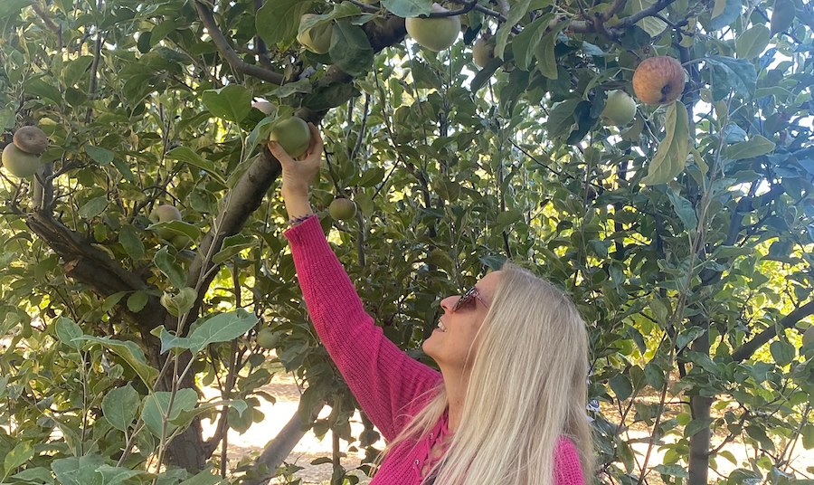 Visit Oak Glen This Fall