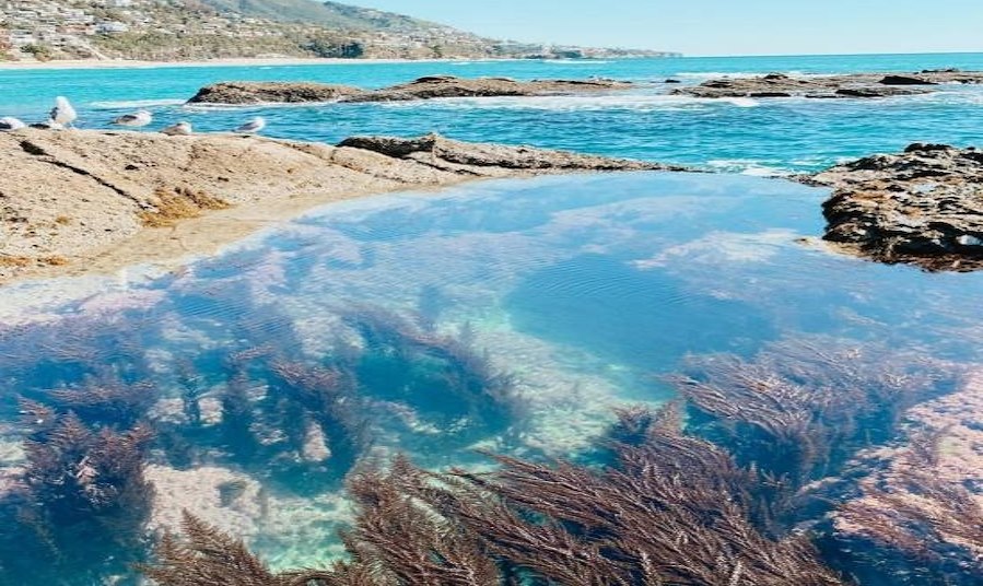 Add a SoCal Beach Day To Your Stay!
